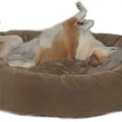 Mammoth Dog Beds Reviews - Customer Comments