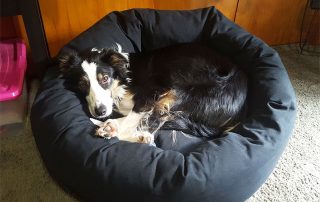 Dog Beds Made In America - Fitting Guide - Lifetime Guarantee